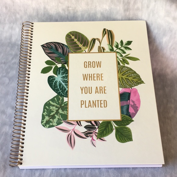 Paper Source | Office | Paper Source Grow Where You Are Planted ...